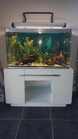 Divers animaux Aquarium Fluval Osaka 280 litres Bretagne Finistère ...